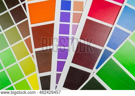 Color Palette . Color Image & Photo (Free Trial) | Bigstock