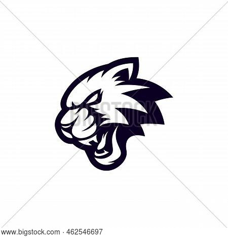 Angry Jaguar Leopard Vector & Photo (Free Trial) | Bigstock