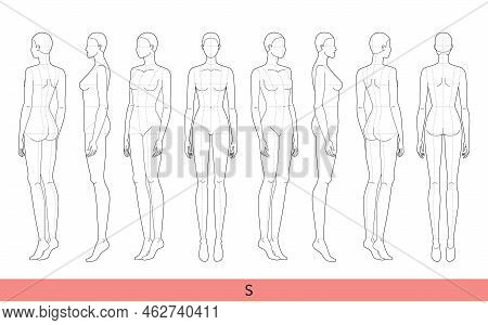 Set S Size Women Vector & Photo (Free Trial) | Bigstock