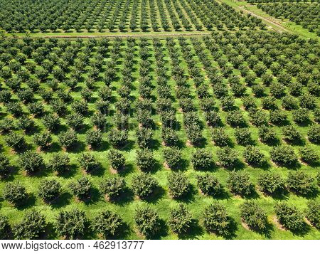 Close- View Drone Image & Photo (Free Trial) | Bigstock