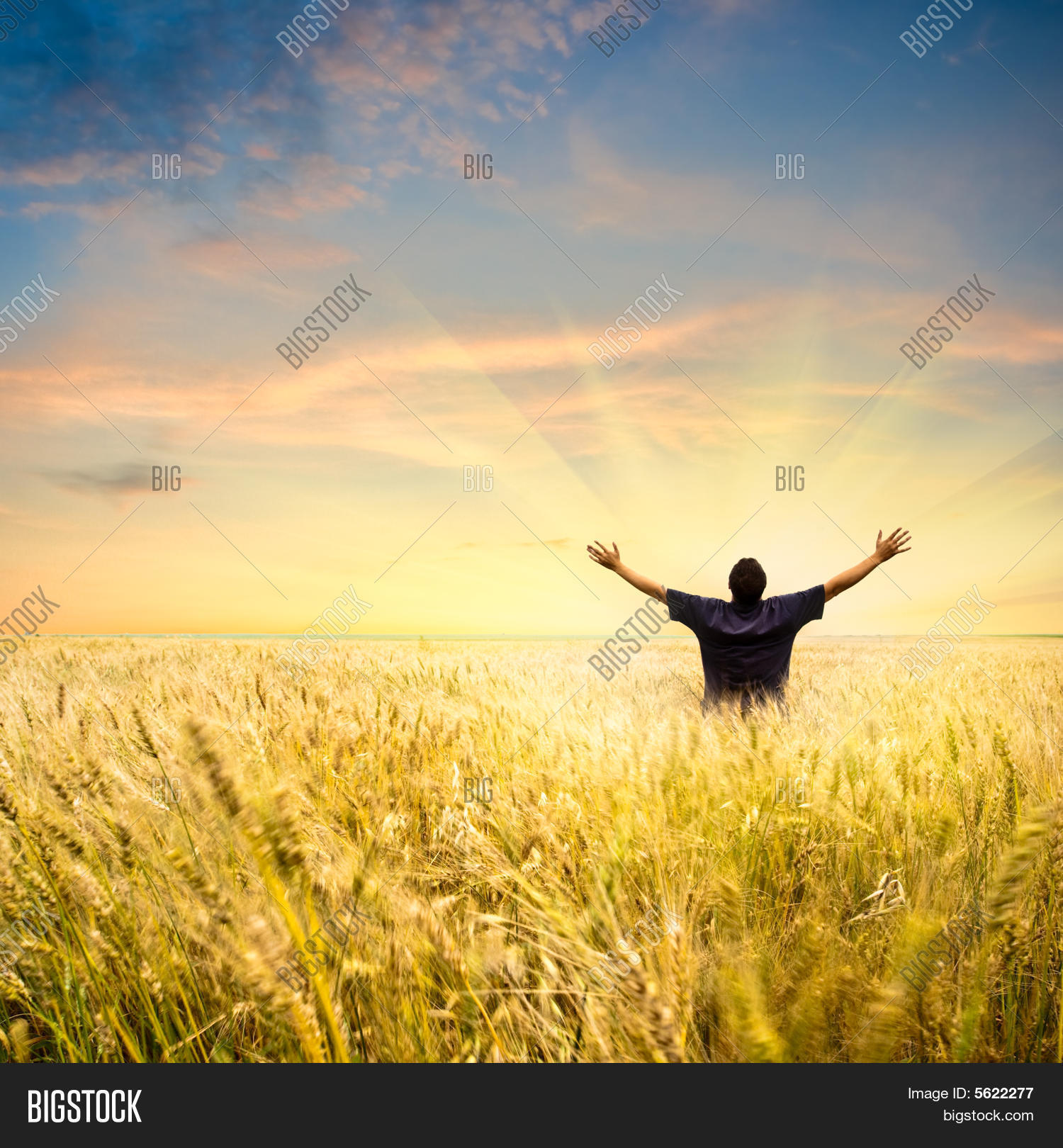 Freedom Image & Photo (Free Trial) | Bigstock
