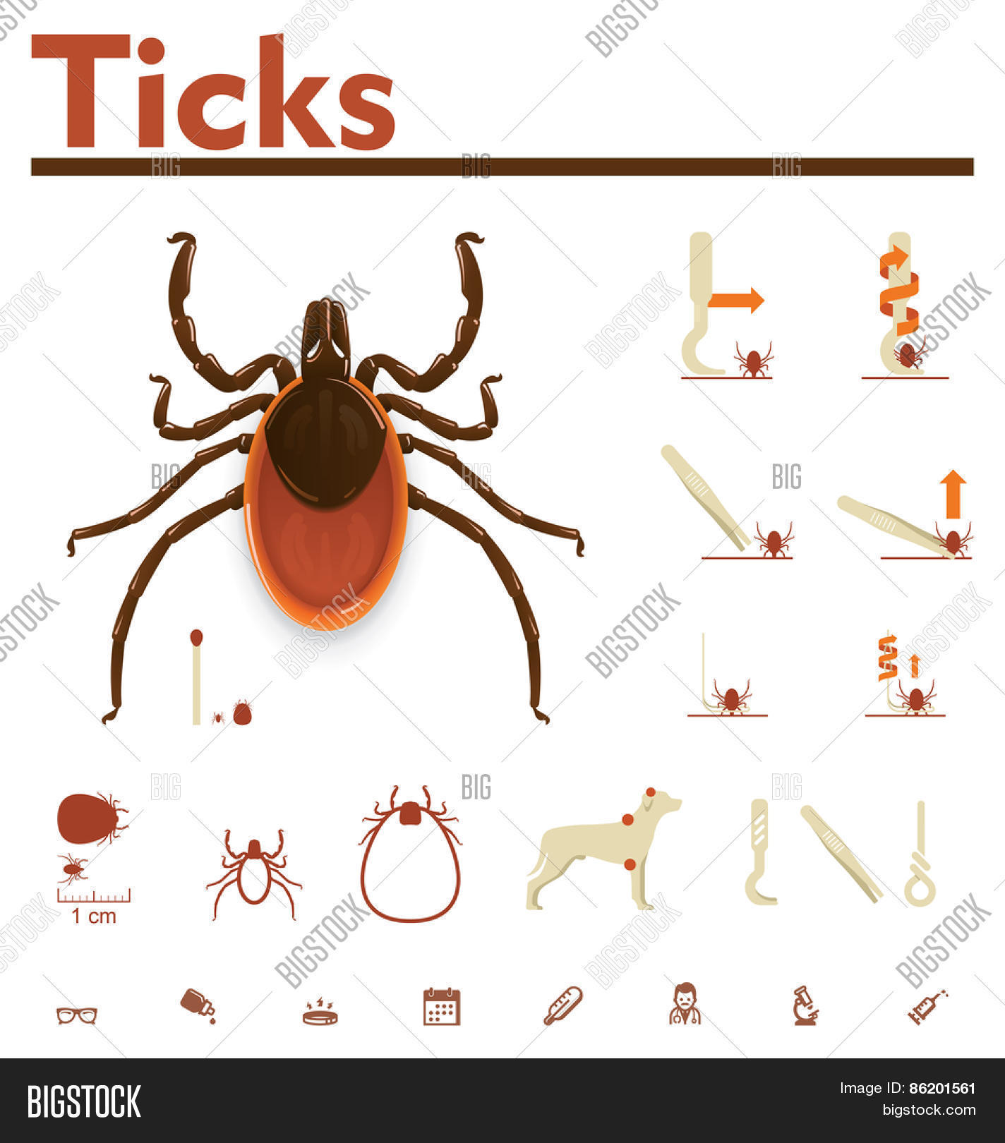 Vector Image Tick Vector & Photo (Free Trial) | Bigstock