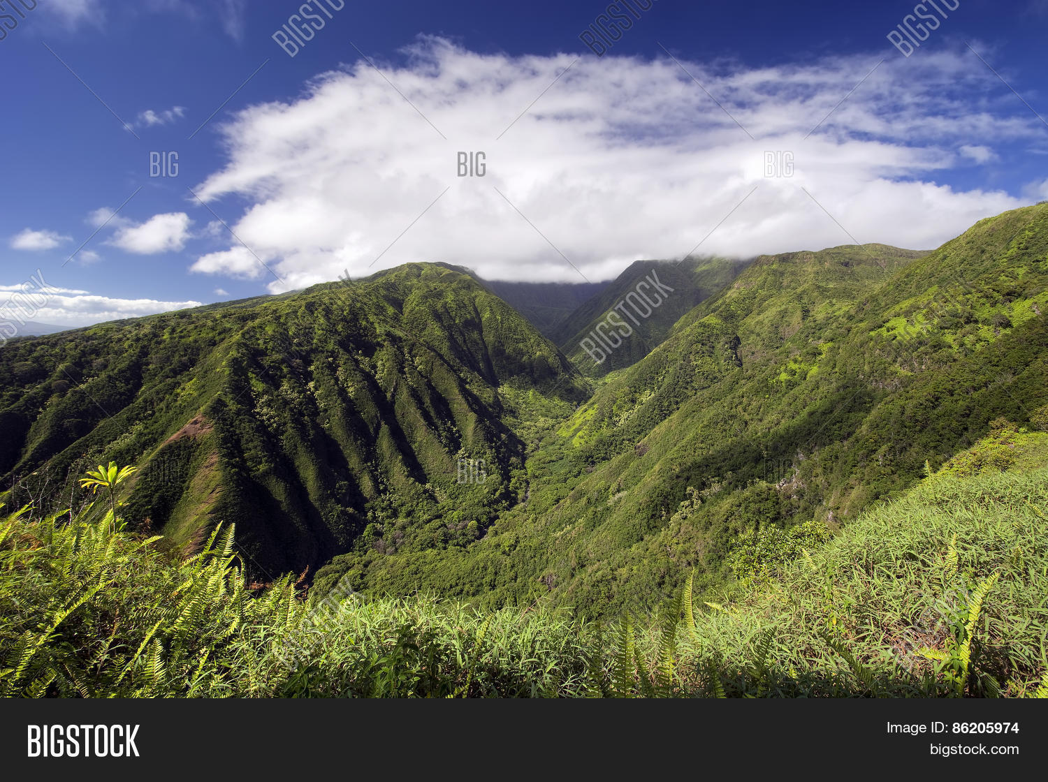 Waihee Ridge Trail, Image & Photo (Free Trial) | Bigstock