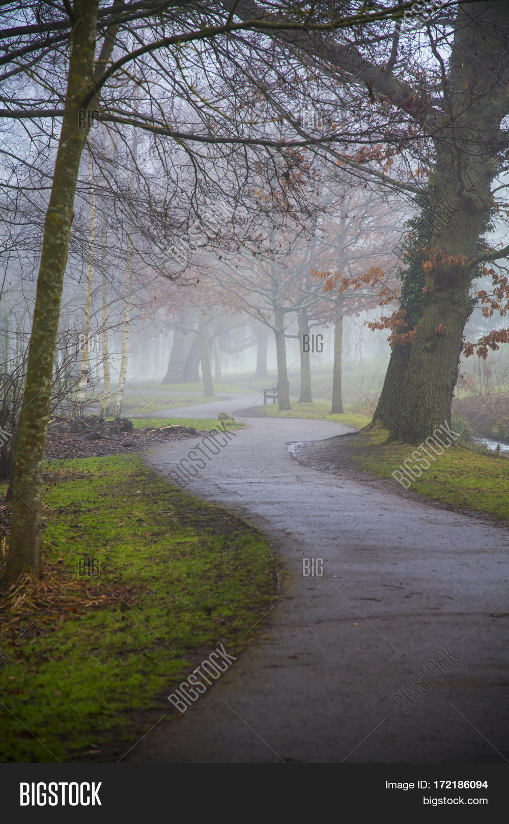 Rising Mist Over Image & Photo (Free Trial) | Bigstock
