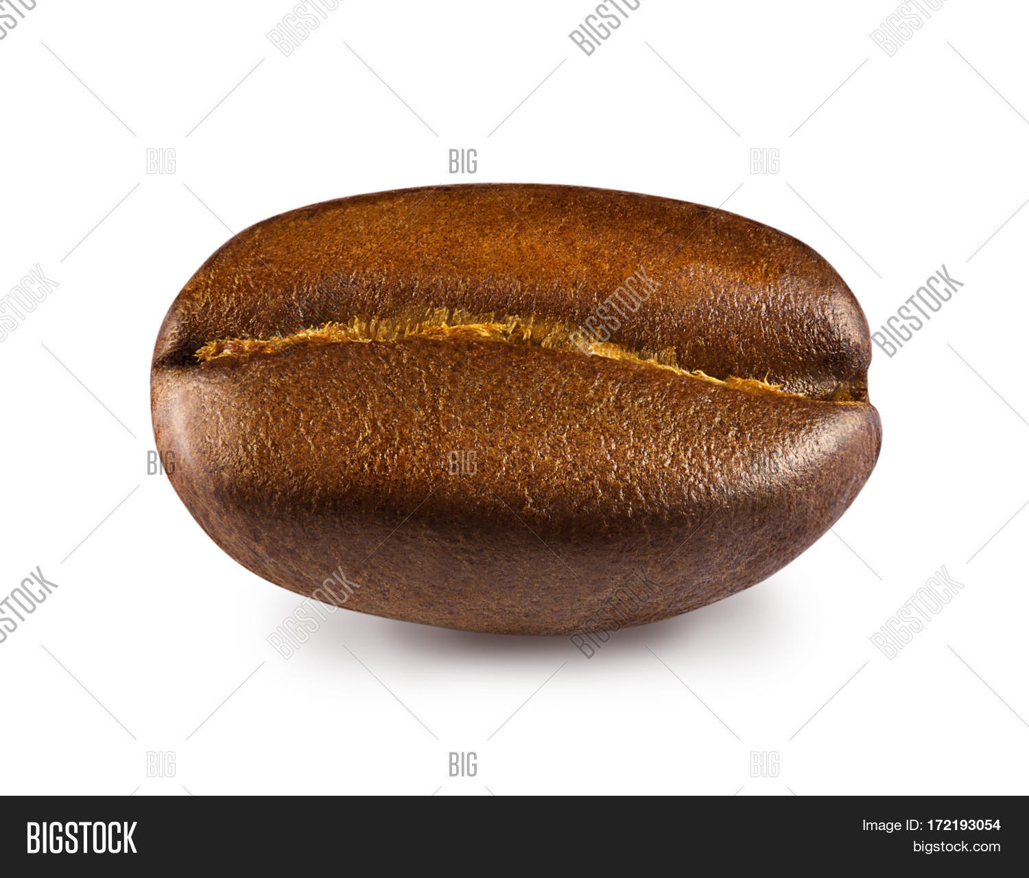 Shiny Fresh Roasted Image & Photo (Free Trial) | Bigstock