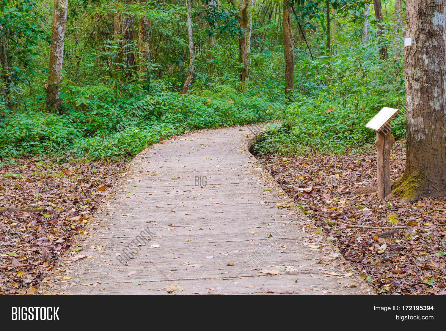 Walkway Lane Path Image & Photo (Free Trial) | Bigstock