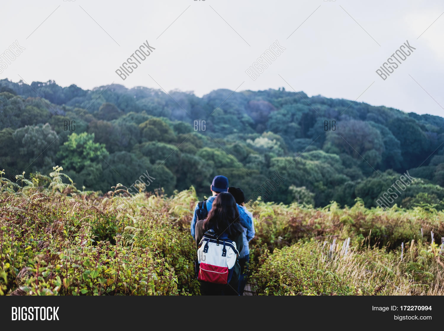 Group People Walking Image & Photo (Free Trial) | Bigstock