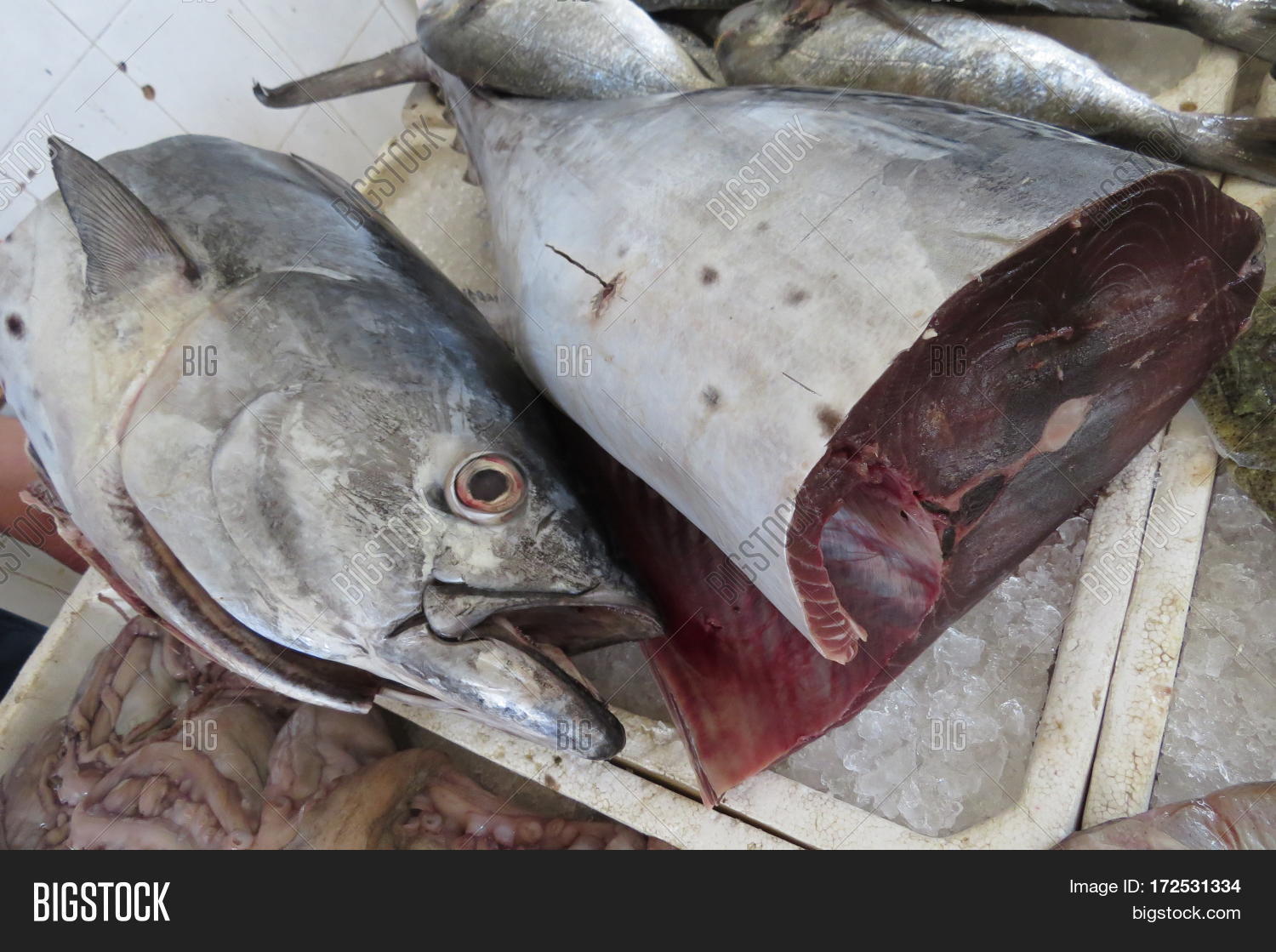 Tuna (tunny, Thunfisch Image & Photo (Free Trial) | Bigstock