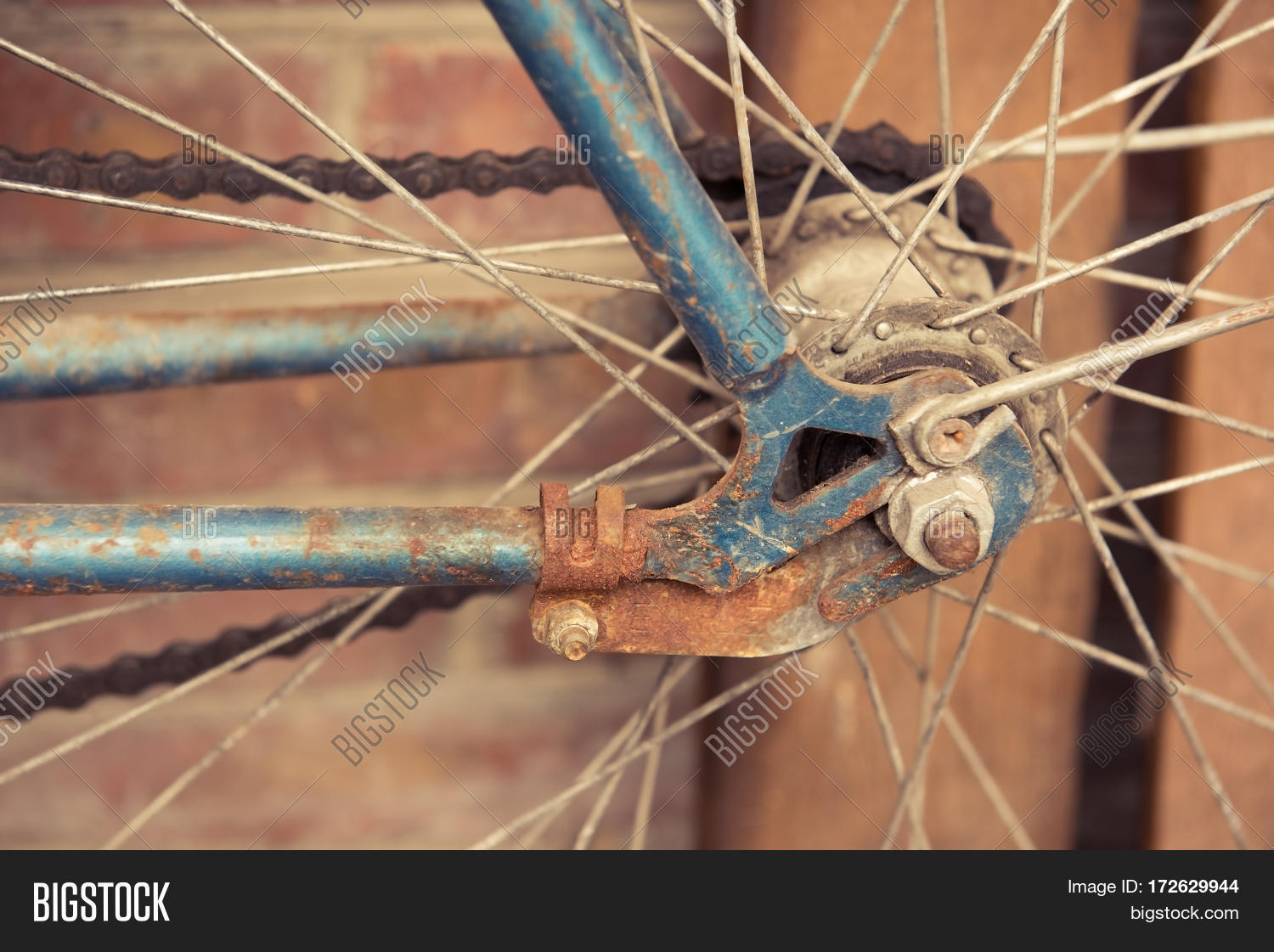 Rusty Old Bicycle Image & Photo (Free Trial) | Bigstock