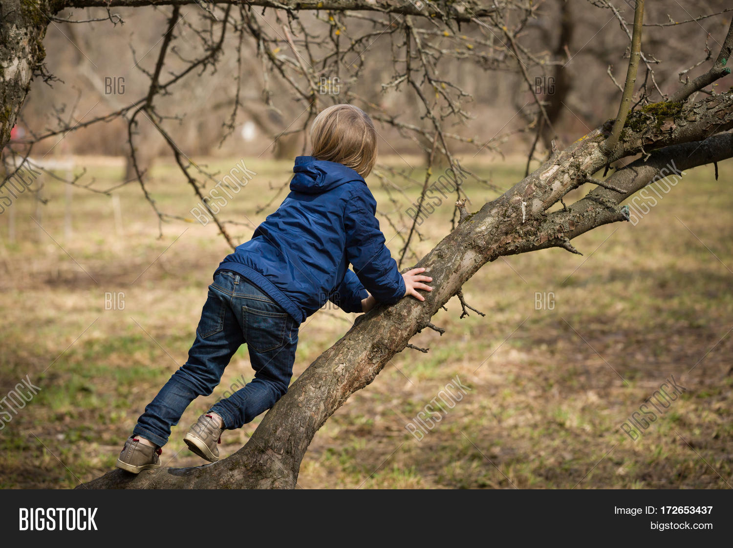 Cute Kid Boy Sitting Image & Photo (Free Trial) | Bigstock