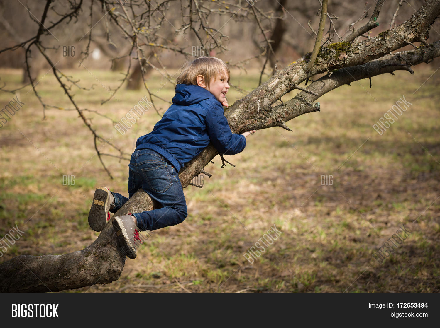 Cute Kid Boy Sitting Image & Photo (Free Trial) | Bigstock