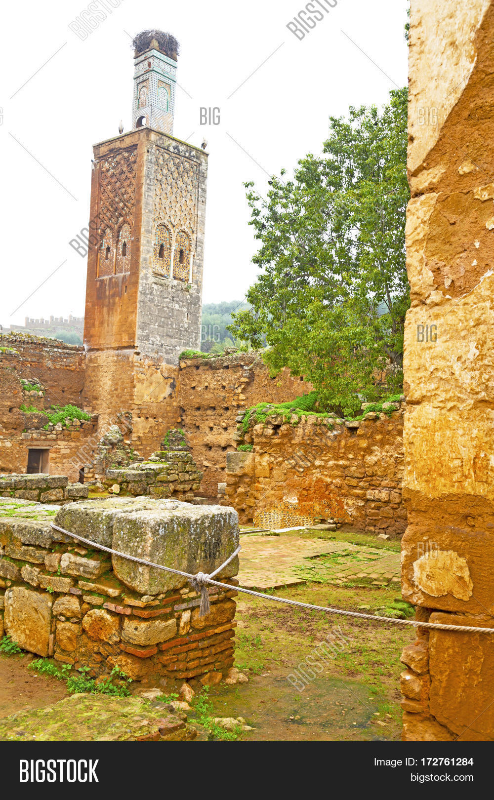 Chellah Morocco Africa Image & Photo (Free Trial) | Bigstock