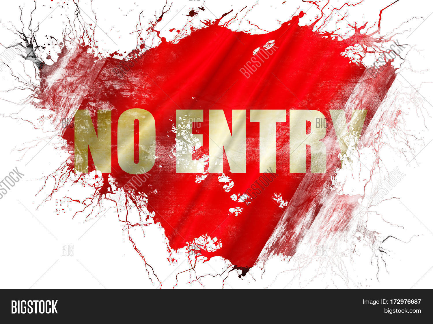 Grunge Old No Entry Image & Photo (Free Trial) | Bigstock