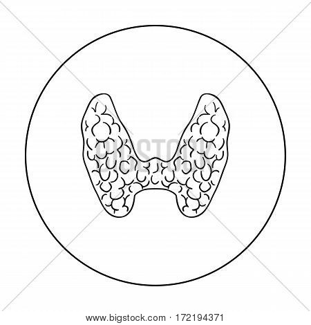 Human Thyroid Icon Vector & Photo (Free Trial) | Bigstock