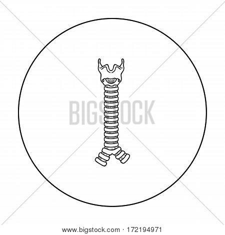 Human Trachea Icon Vector & Photo (Free Trial) | Bigstock