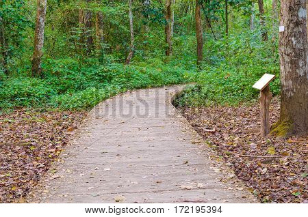 Walkway Lane Path Image & Photo (Free Trial) | Bigstock
