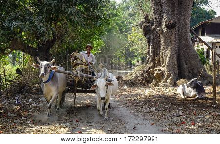 People On Rural Road Image & Photo (Free Trial) | Bigstock