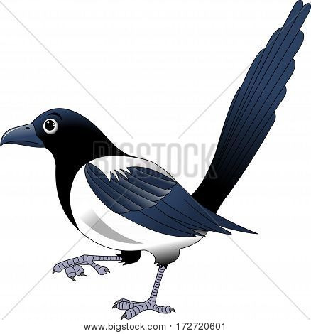 Magpie Cartoon Vector Vector & Photo (Free Trial) | Bigstock