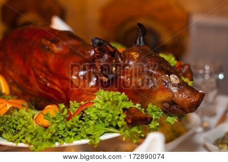 Young Baked Pig Image & Photo (Free Trial) | Bigstock
