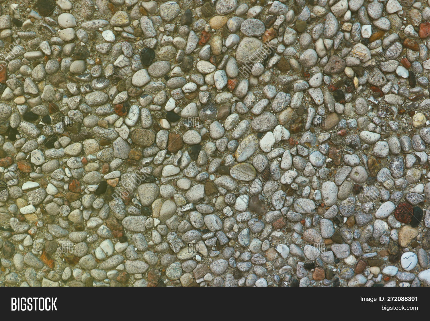 Pebble Texture Pattern Image & Photo (Free Trial) | Bigstock