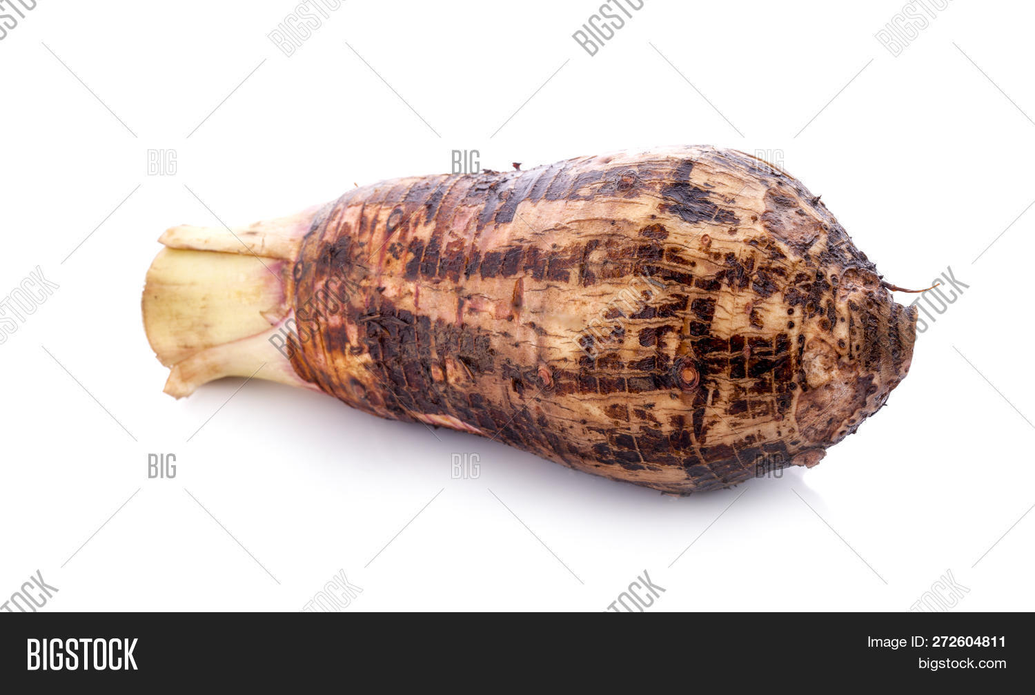Sweet Taro Root, Image & Photo (Free Trial) | Bigstock