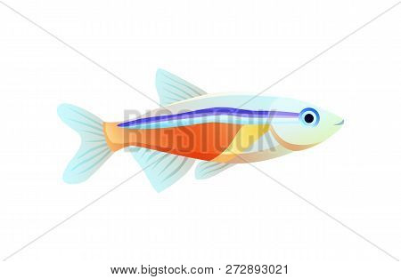 Bright Neon Tetra Vector & Photo (Free Trial) | Bigstock