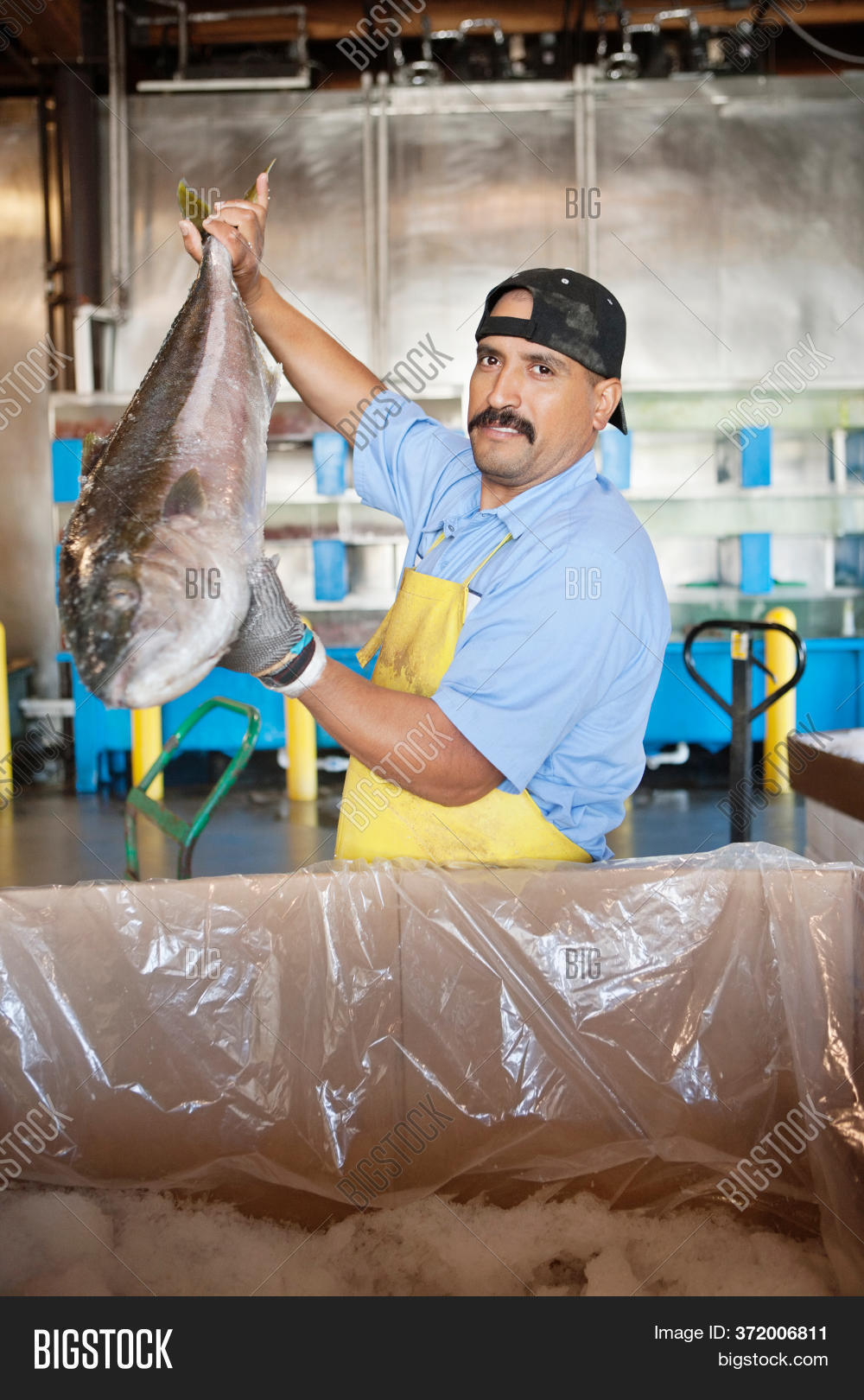 Portrait Mature Image & Photo (Free Trial) | Bigstock