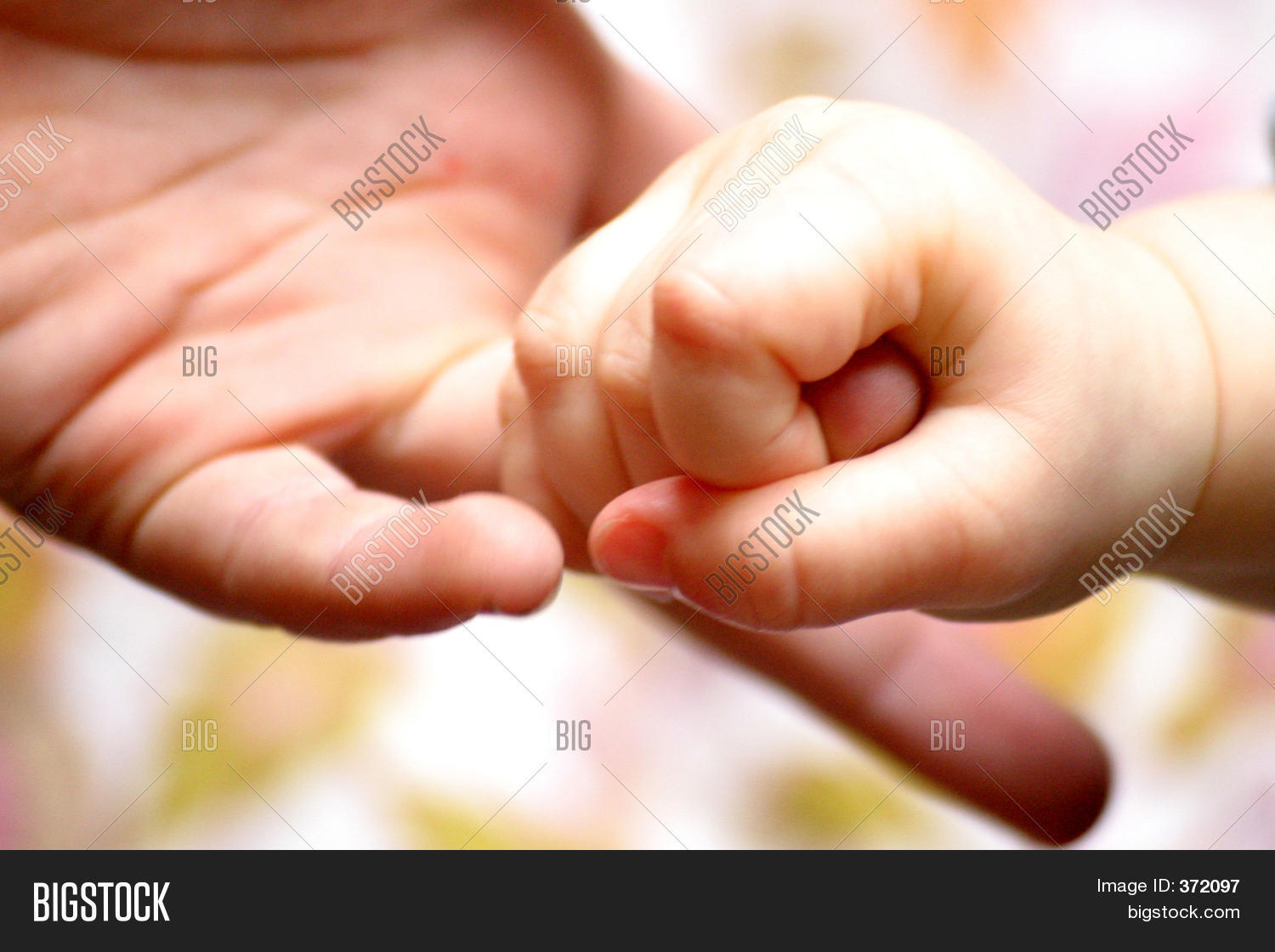 Handshake Image & Photo (Free Trial) | Bigstock