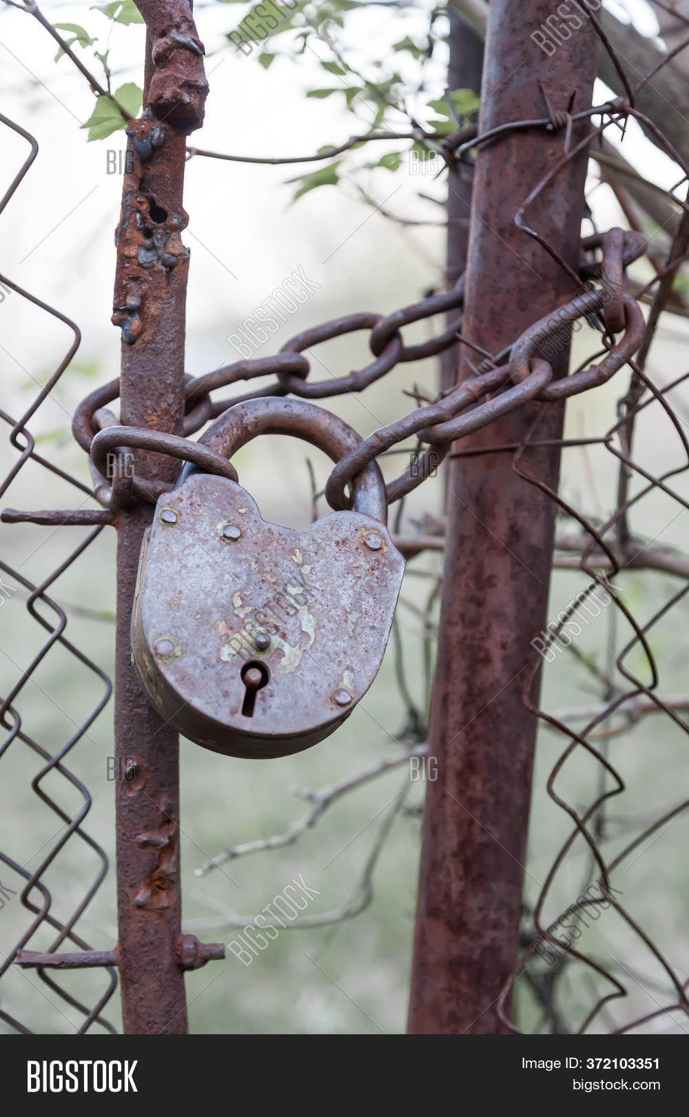 Closeup Old Rusty Lock Image & Photo (Free Trial) | Bigstock