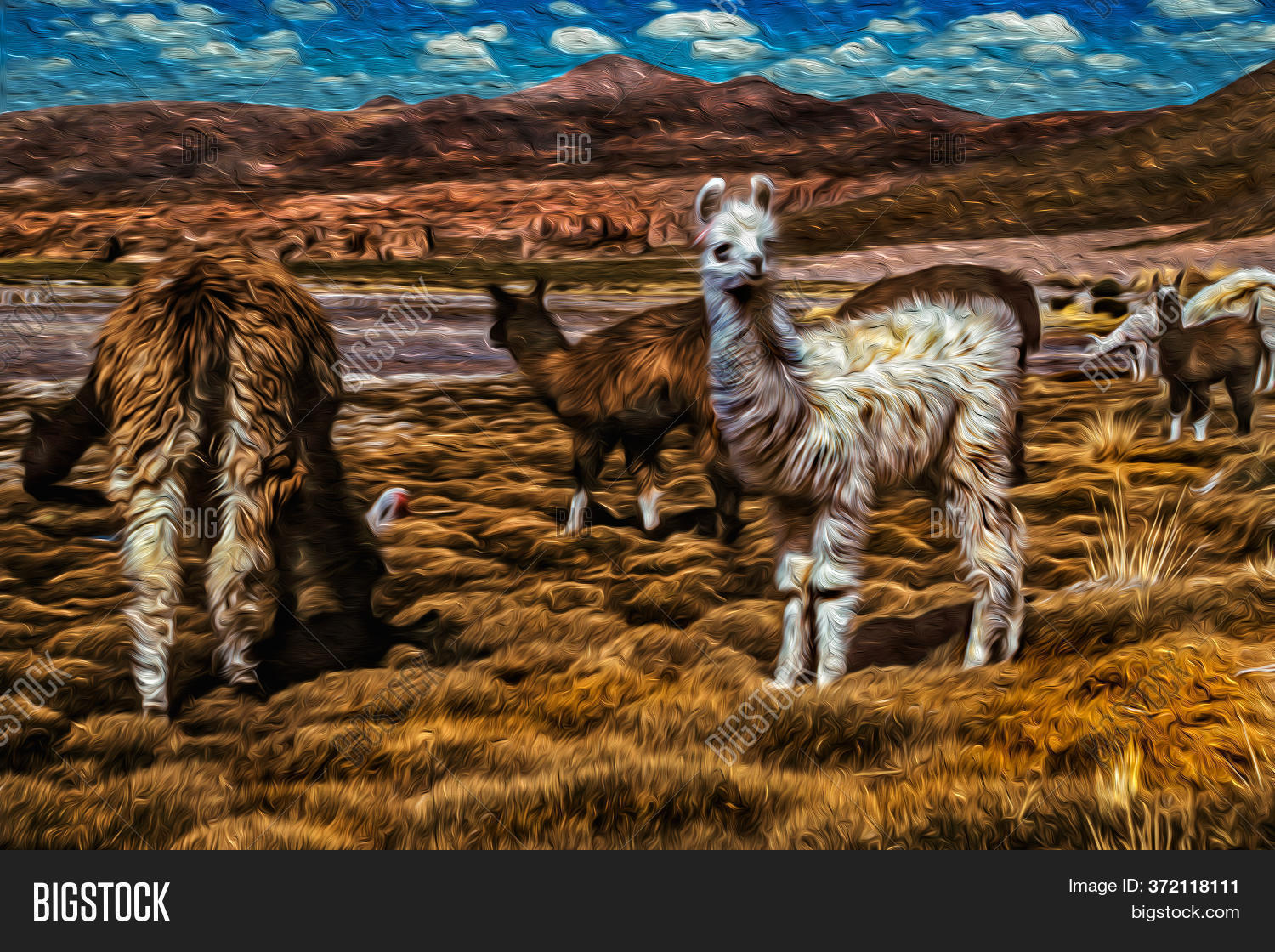 Several Furry Llamas Image & Photo (Free Trial) | Bigstock