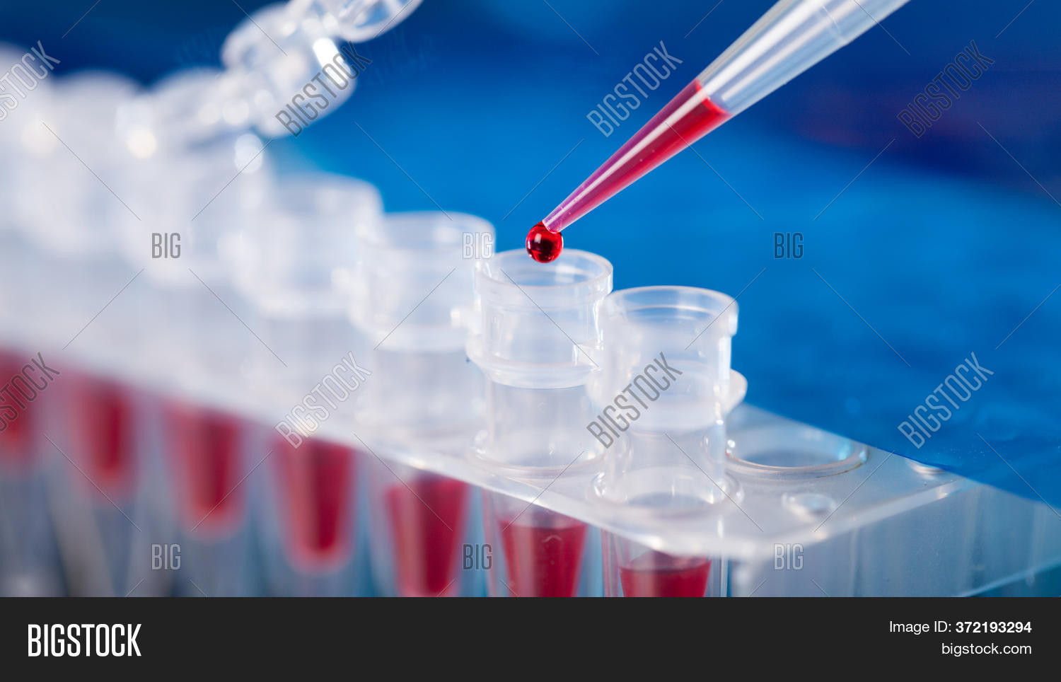 Pipetting Blood Image & Photo (Free Trial) | Bigstock