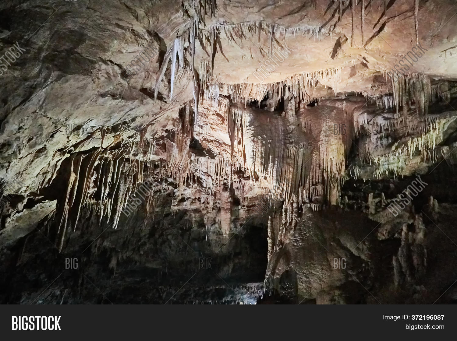 Beautiful Colorful Image & Photo (Free Trial) | Bigstock