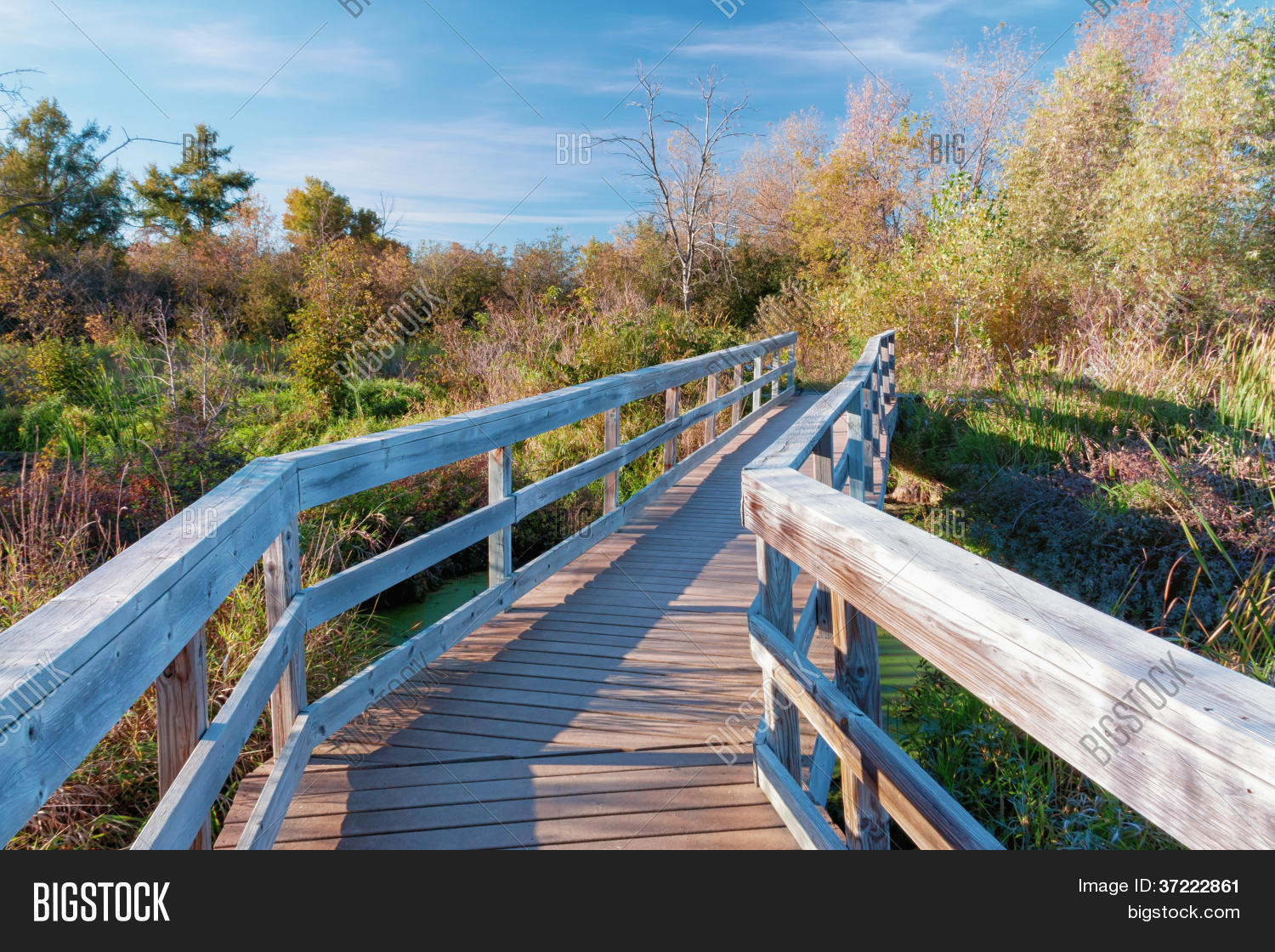 Bridge Over Marsh Image & Photo (Free Trial) | Bigstock