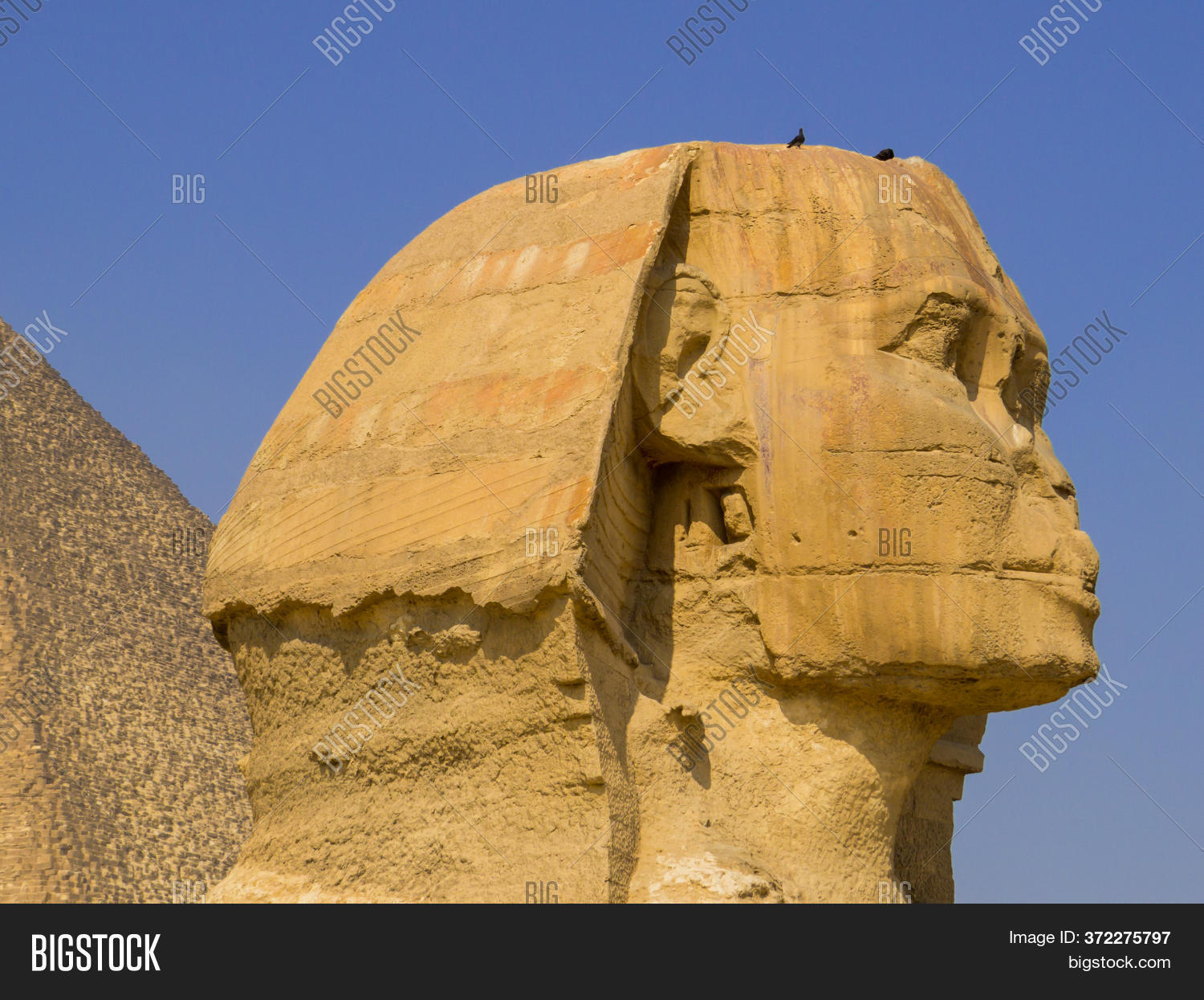 View Great Sphinx Giza Image & Photo (Free Trial) | Bigstock