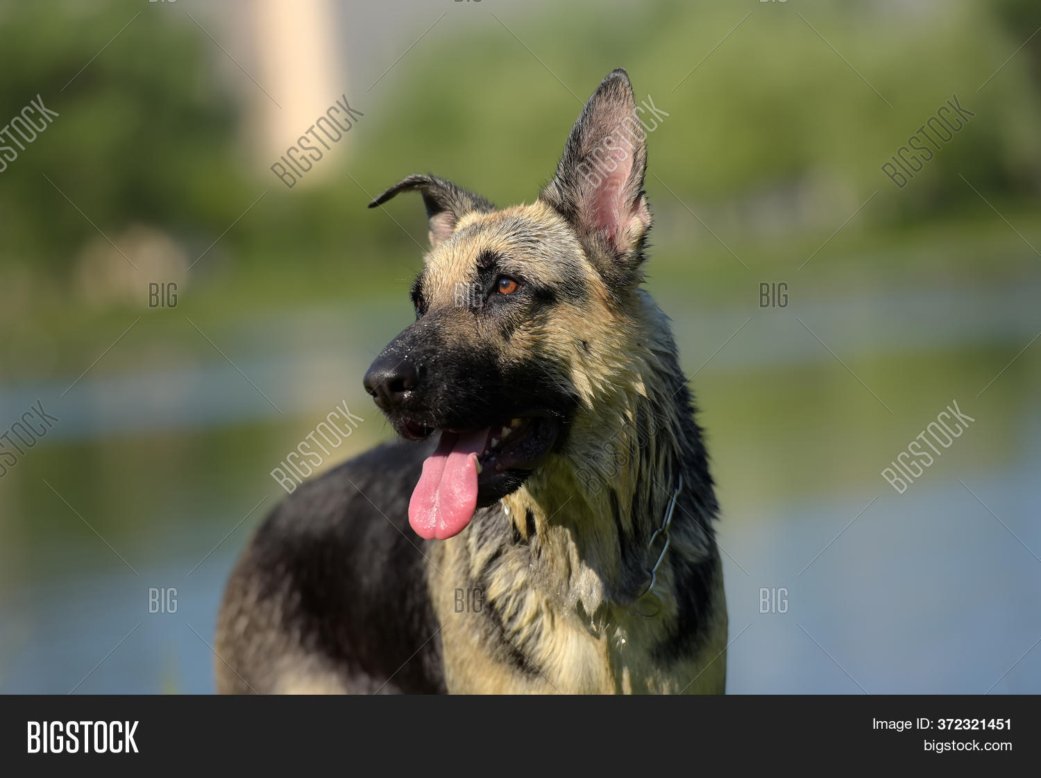 Eastern European Image & Photo (Free Trial) | Bigstock