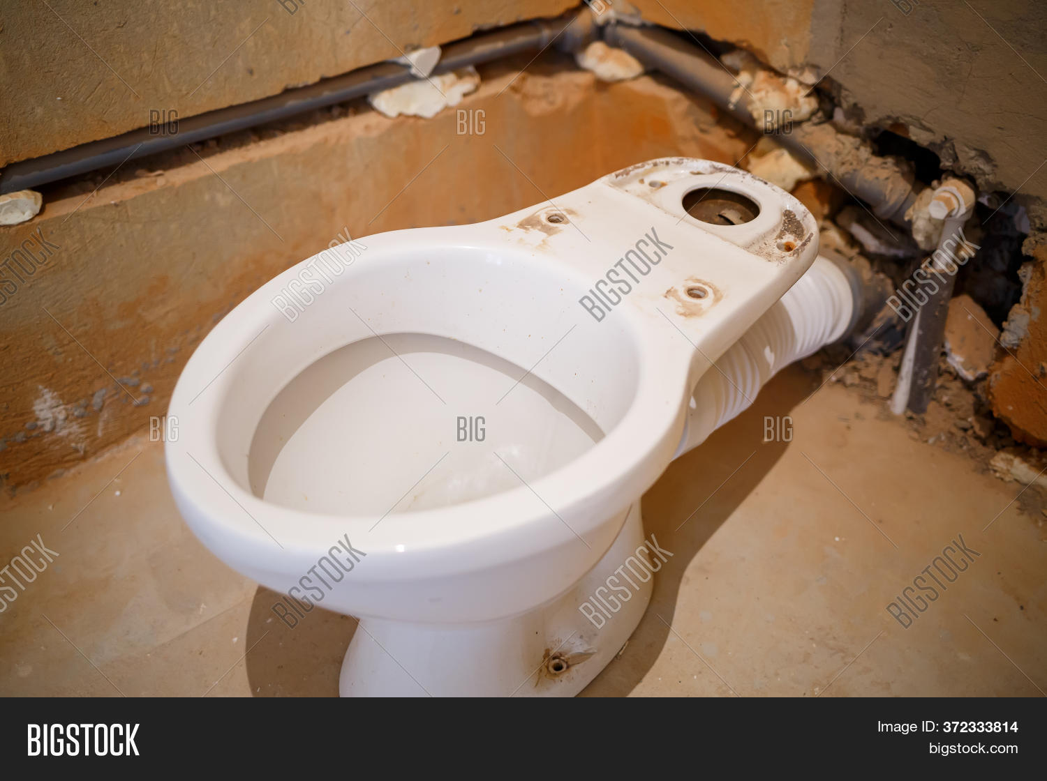 Installing New Toilet Image & Photo (Free Trial) | Bigstock