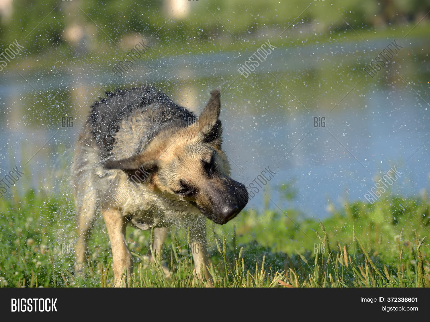 Eastern European Image & Photo (Free Trial) | Bigstock