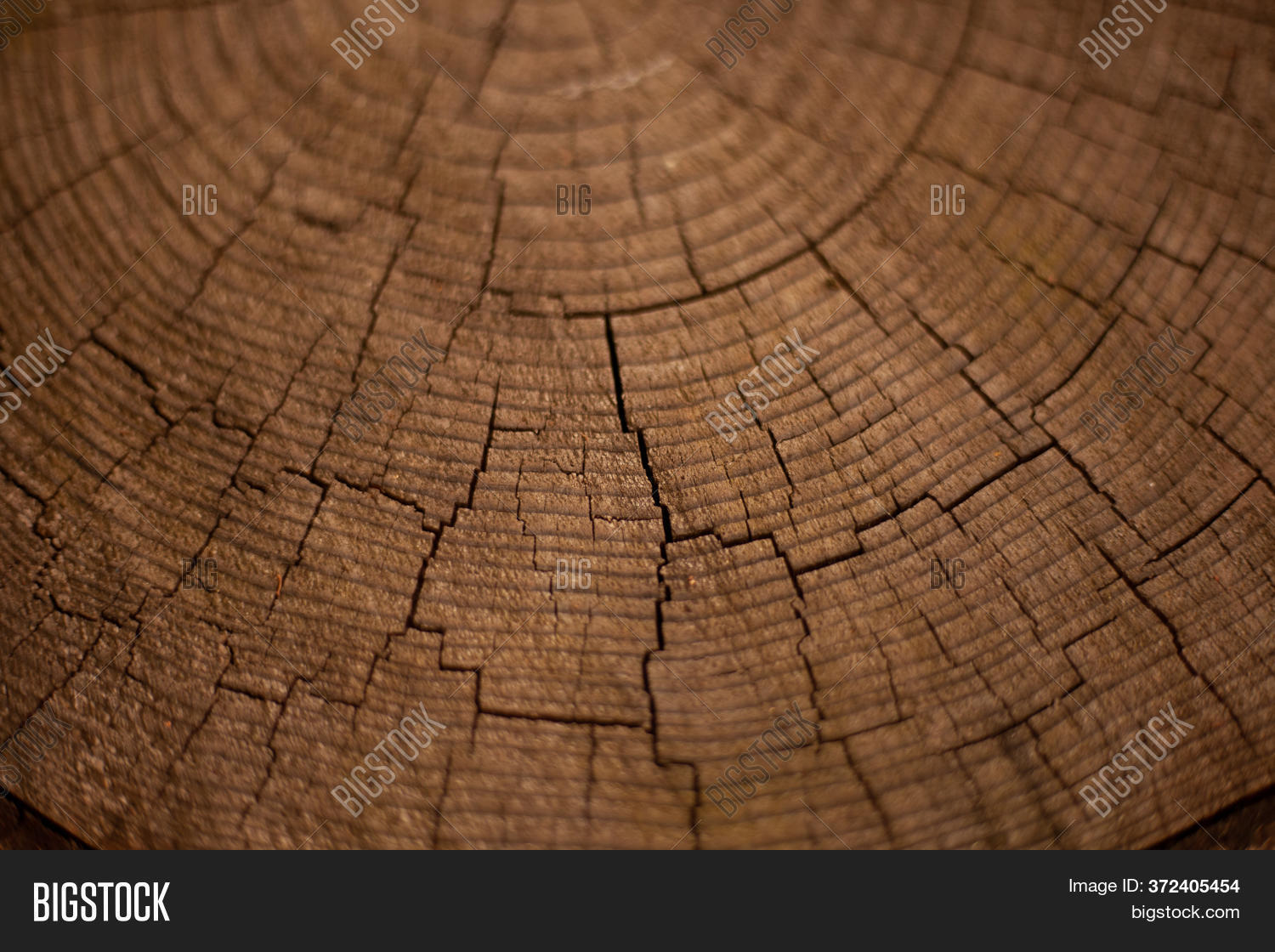 Wood Background. Rings Image & Photo (Free Trial) | Bigstock
