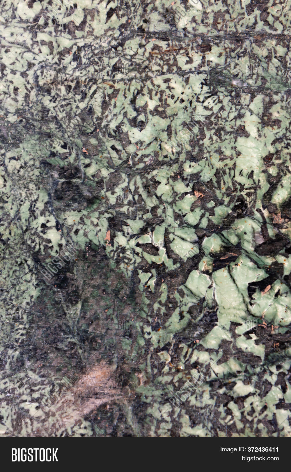 Texture Green Syenite Image & Photo (Free Trial) | Bigstock