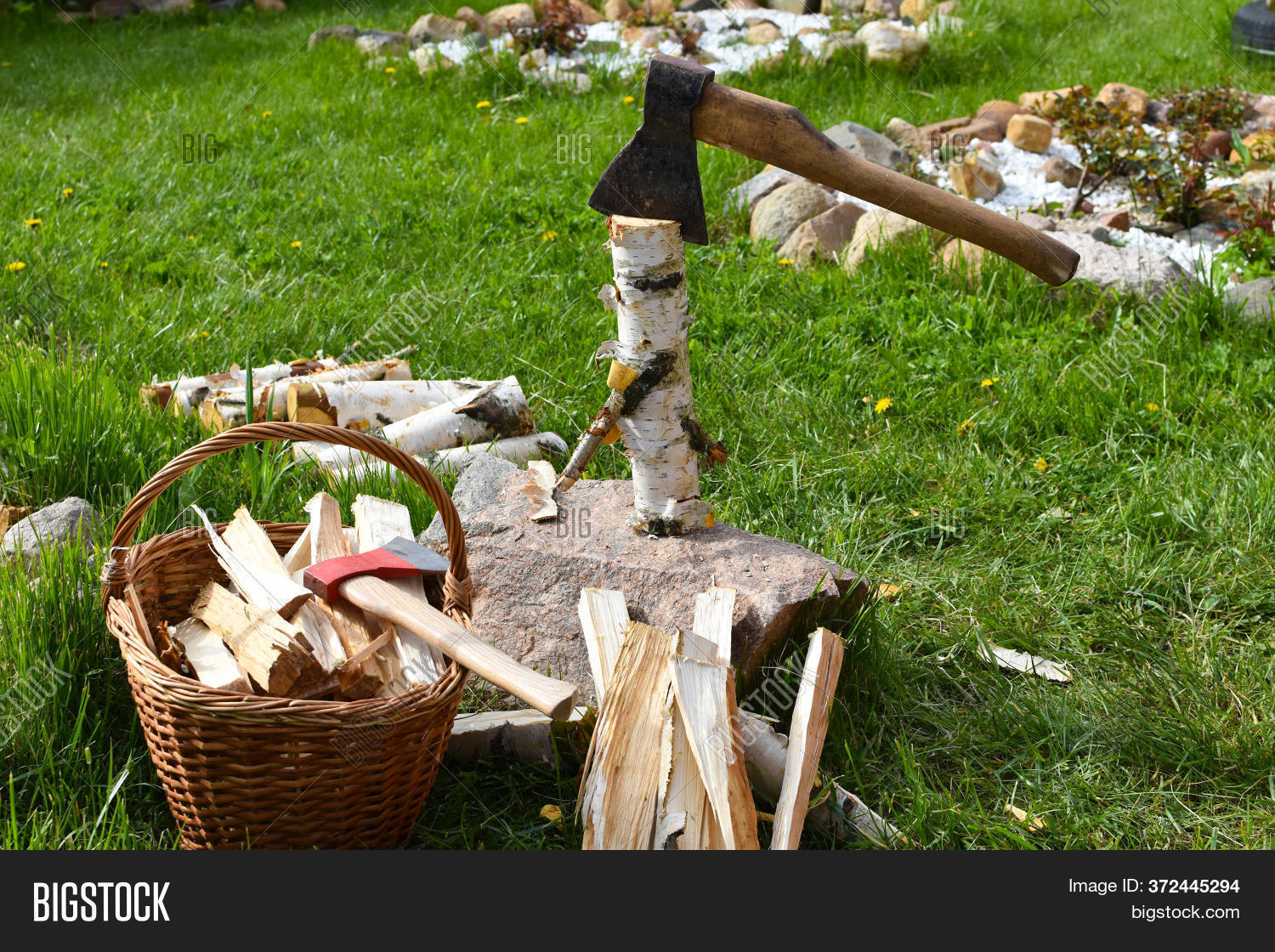 Woman Chopping Log Ax Image & Photo (Free Trial) | Bigstock