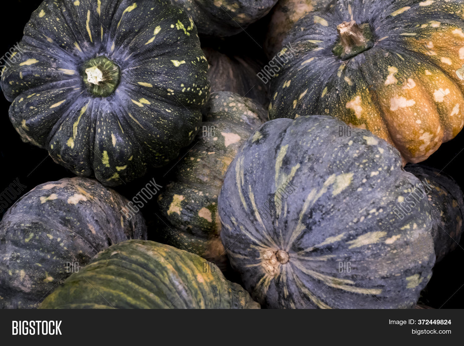 Pumpkins Vegetables Image & Photo (Free Trial) | Bigstock