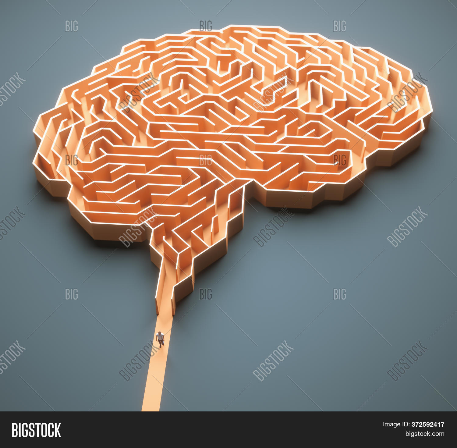 Brain Shaped Maze. Image & Photo (Free Trial) | Bigstock
