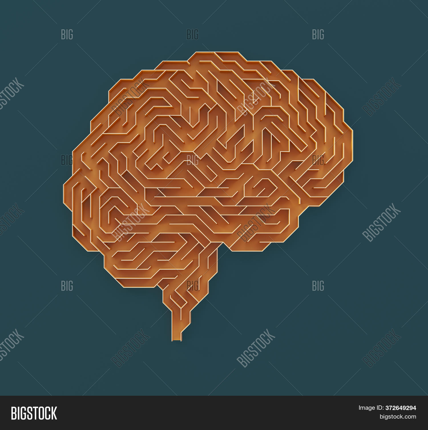 Brain Shaped Maze Image & Photo (Free Trial) | Bigstock