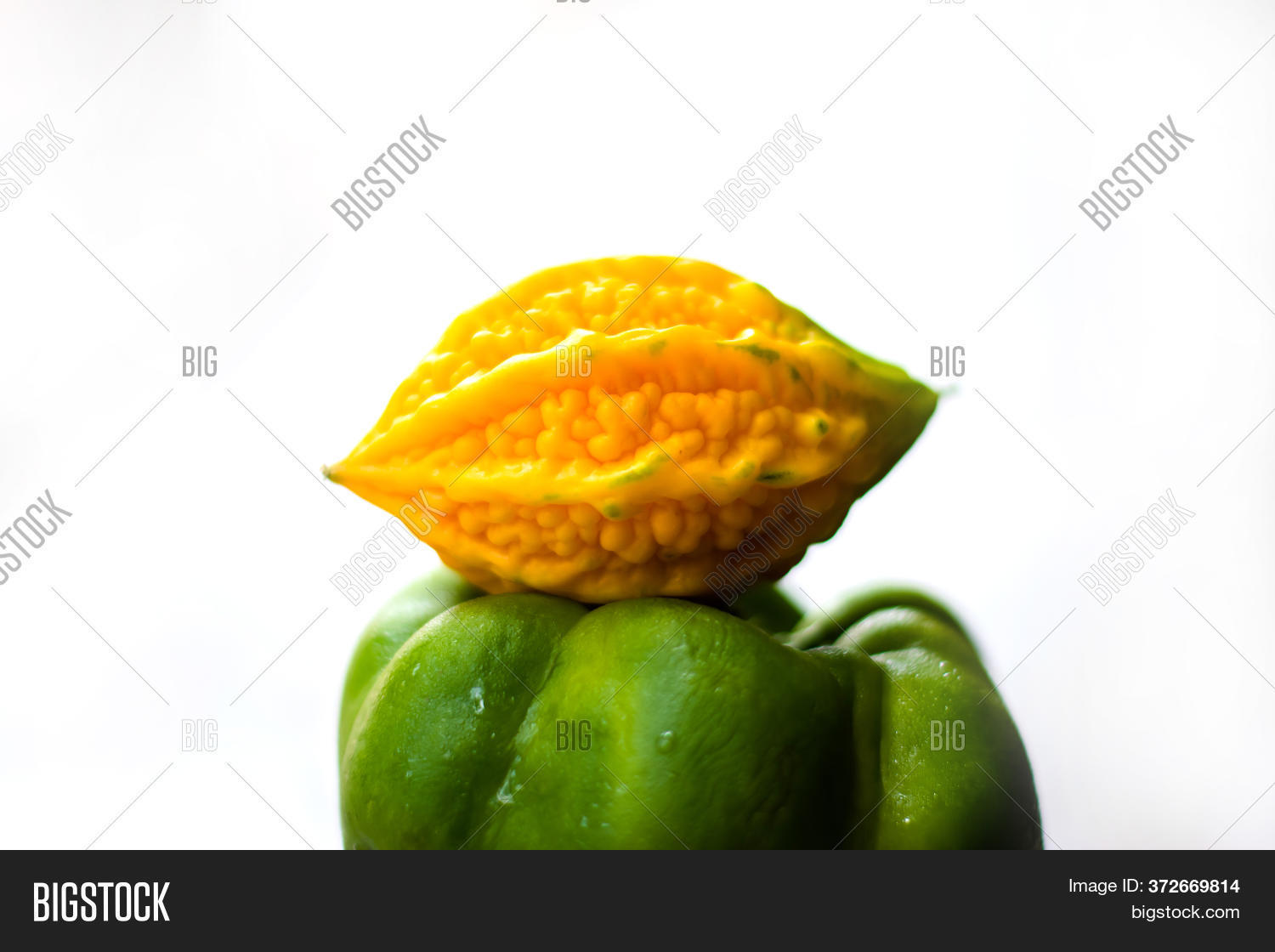 Yellow Bitter Gourd Image & Photo (Free Trial) | Bigstock