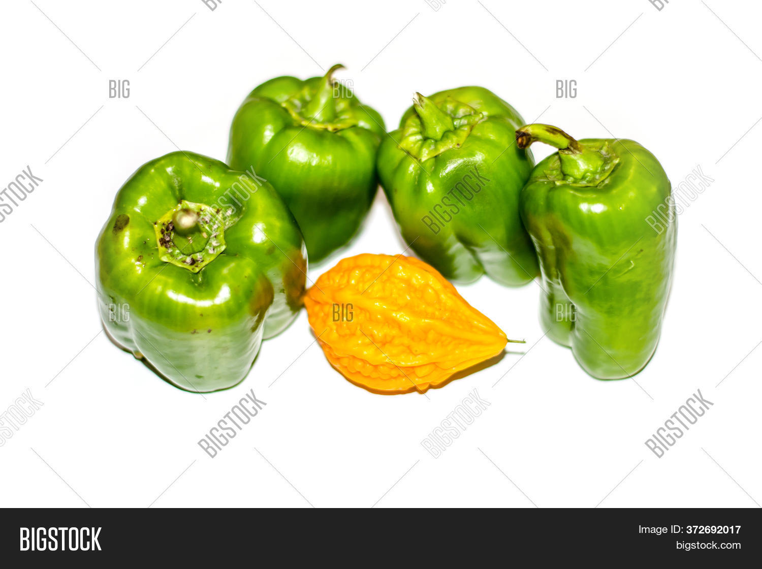 Yellow Bitter Gourd Image & Photo (Free Trial) | Bigstock