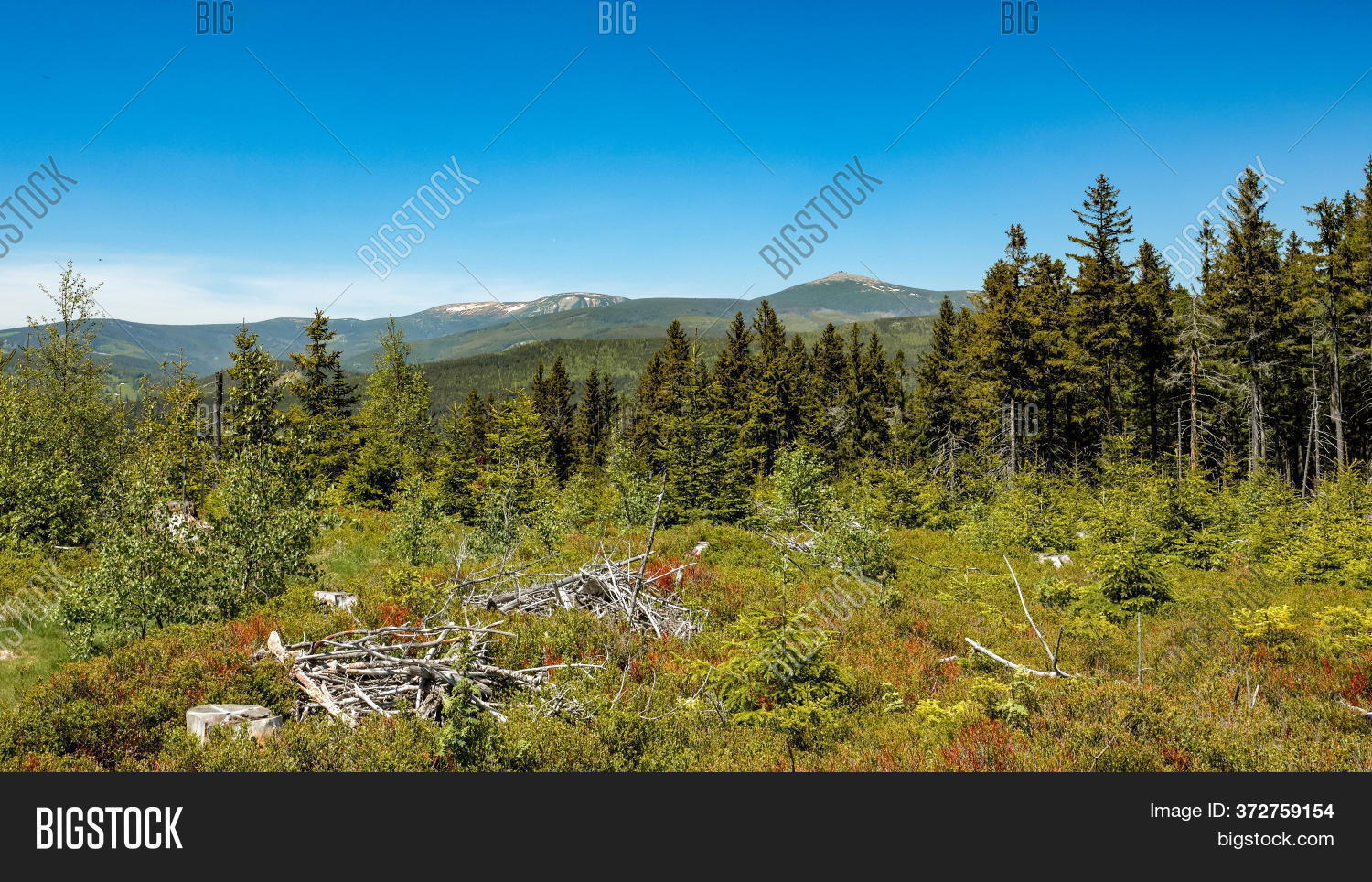 Forested Hilly Image & Photo (Free Trial) | Bigstock