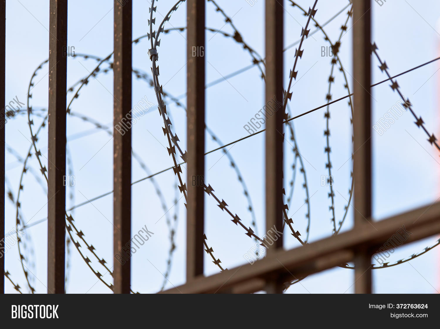 Barbed Wire On Prison Image & Photo (Free Trial) | Bigstock