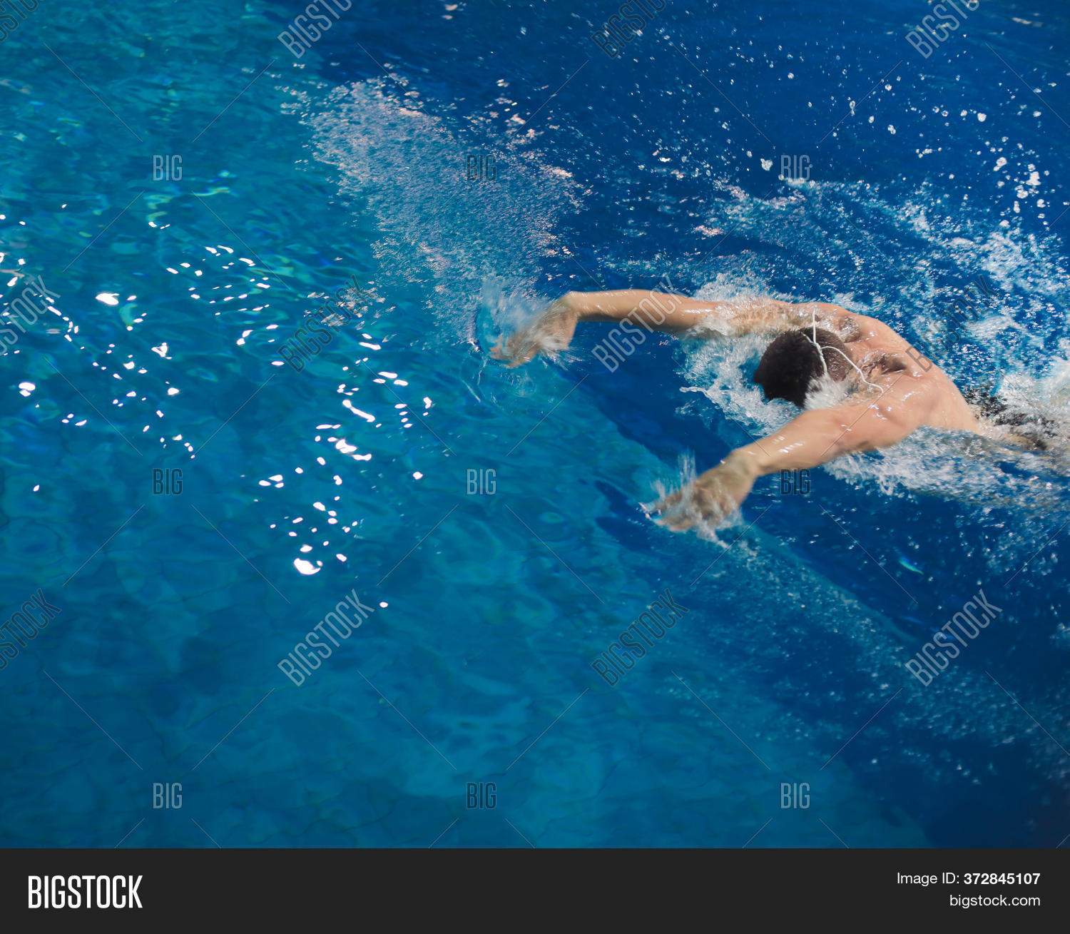 Male Swimmer Swimming Image & Photo (Free Trial) | Bigstock