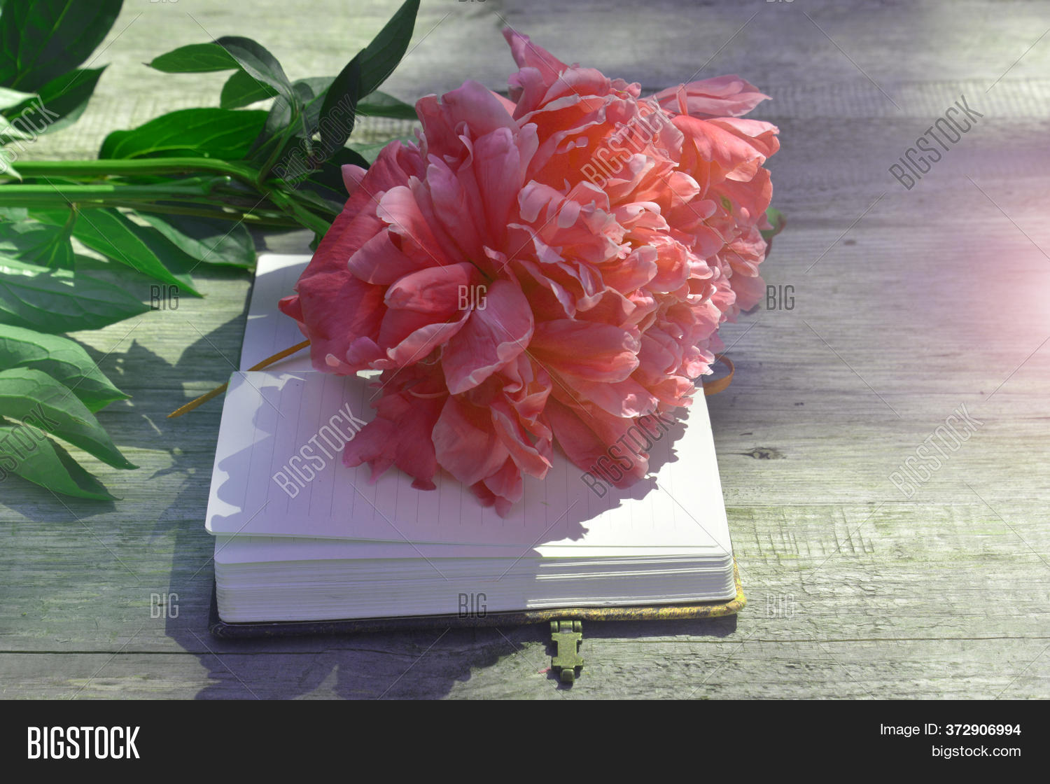 Open Diary Notebook Image & Photo (Free Trial) | Bigstock