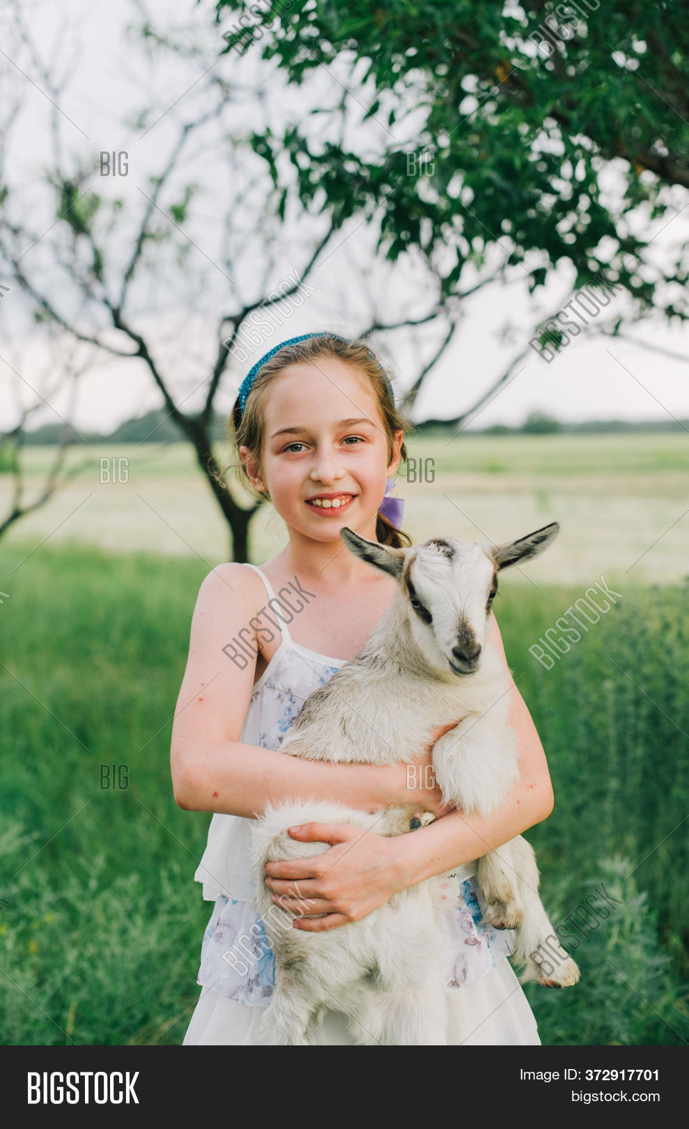 Girl Baby Goat On Farm Image & Photo (Free Trial) | Bigstock